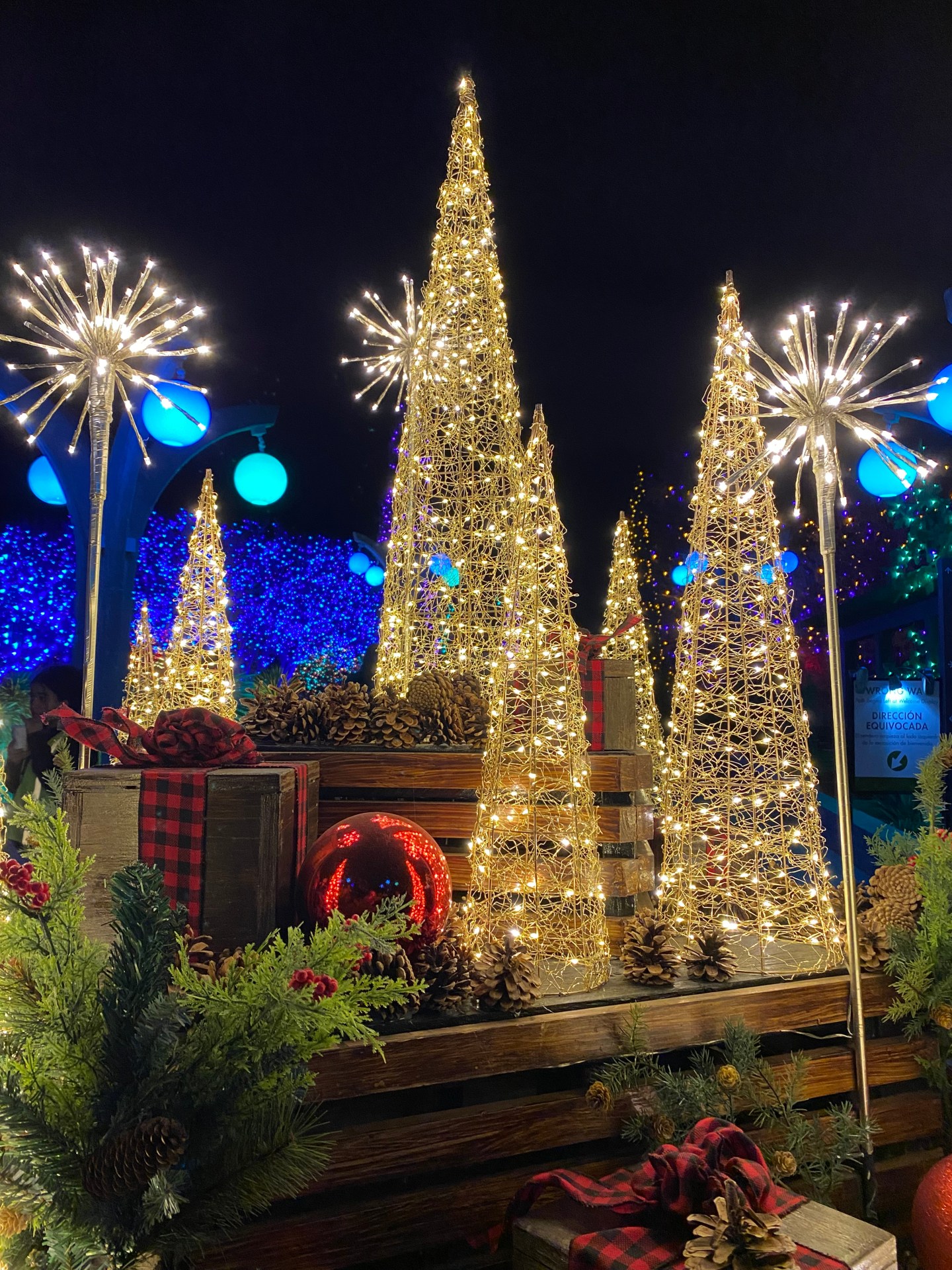 Greeting Card Sale – Heather Ormsby